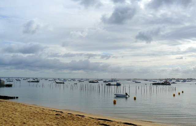 Cultivating oysters in France - Cornichon.org Cultivating oysters in France - Cornichon.org